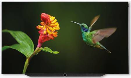 Loewe Bild 7.55 OLED (incl. WM7) 55 inch OLED TV - Tvs.nl